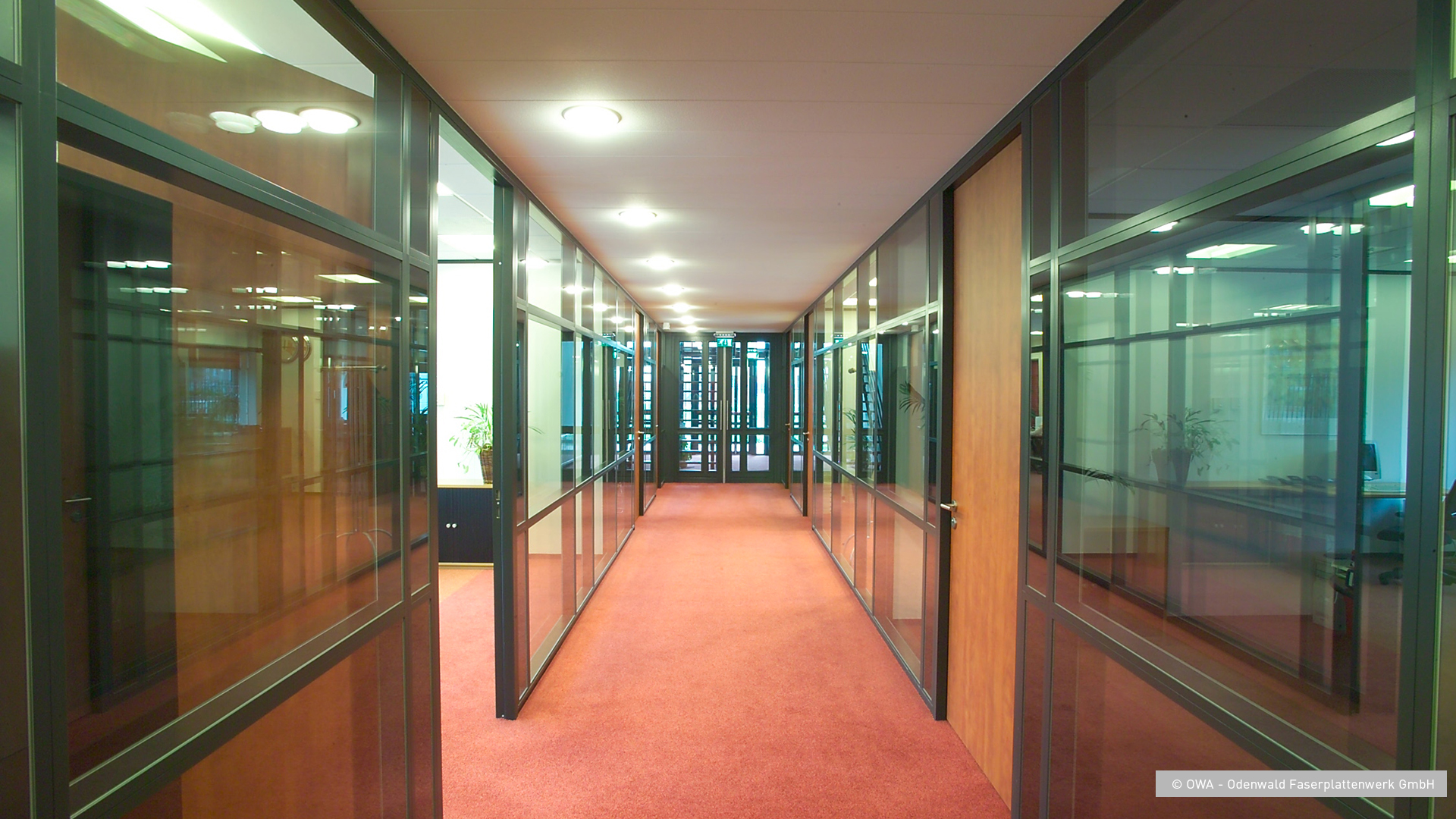 OWA image data base | Case studies